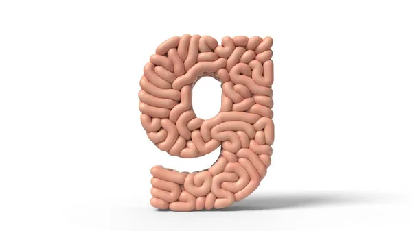 Gut brain axis Stock Photos, Royalty Free Gut brain axis Images ...