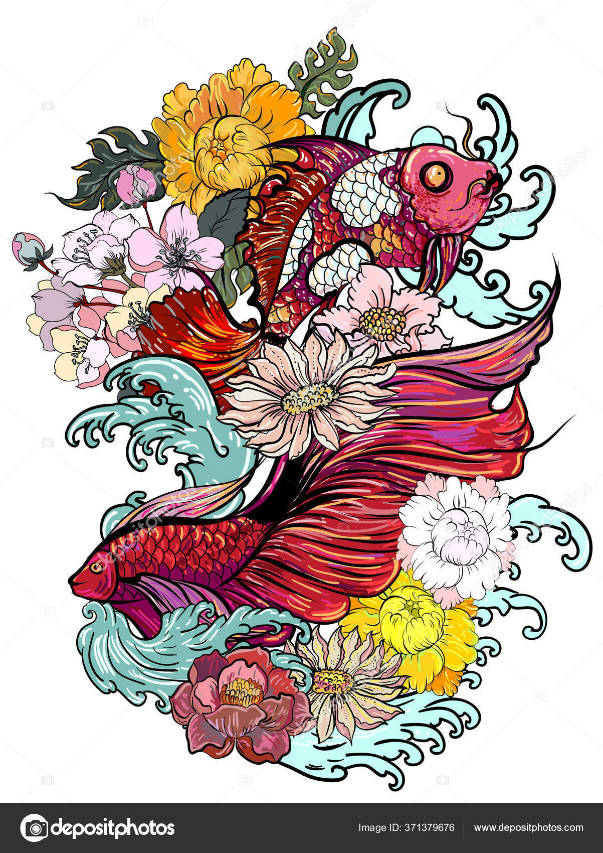 Colorful Siamese Fighting Fish Betta Fish Swimming Japanese Wave Peony ...