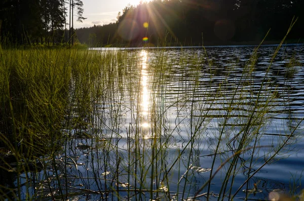 Sommar sol sverige Stock Photos, Royalty Free Sommar sol sverige Images ...