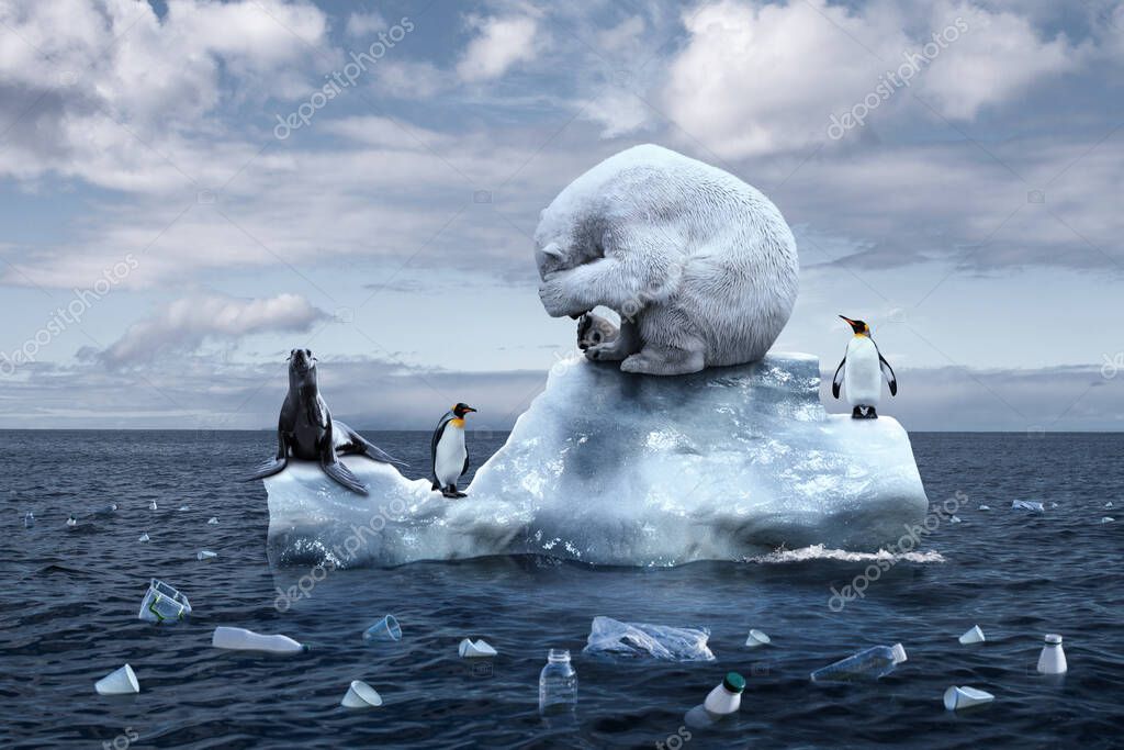 cambio climático. Parche de basura. el oso llora cerrando su rostro con ...