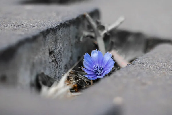 5,491 Emerge Pictures, Emerge Stock Photos & Images | Depositphotos®