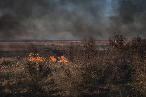 Strong prairie fire with large clouds of choking smoke erupted in ...