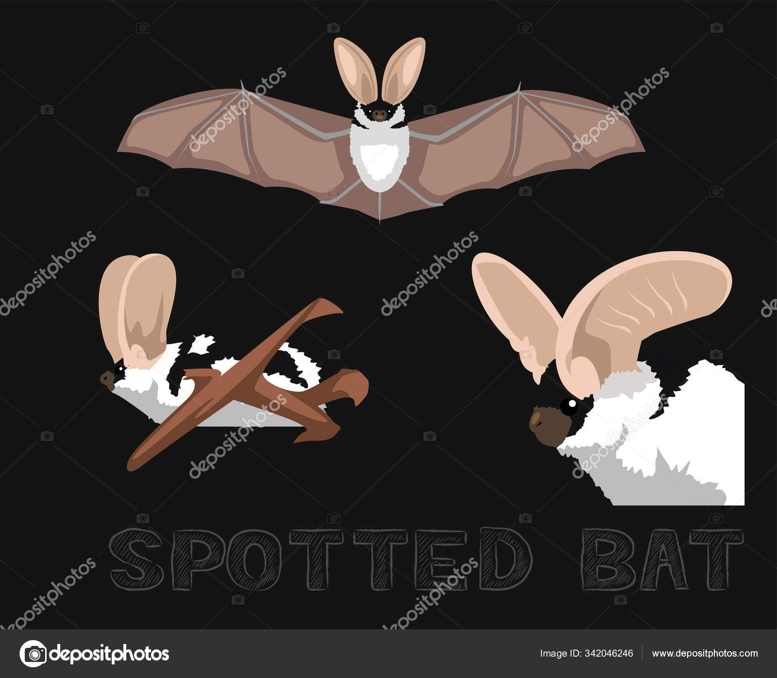 Bat Spotted Cartoon Illustration Stock Vector by ©Punnawich 342046246