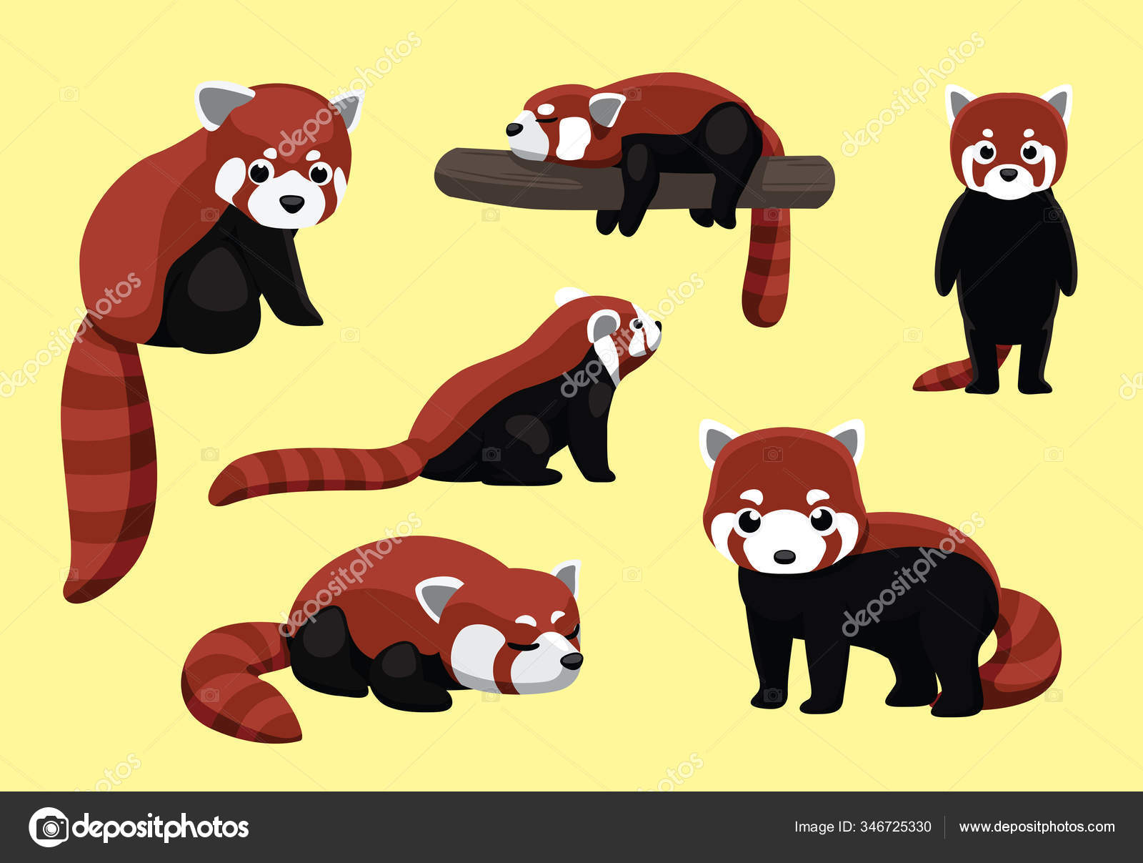 Red Panda Poses Cartoon Vector Illustration Stock Vector Image by ...