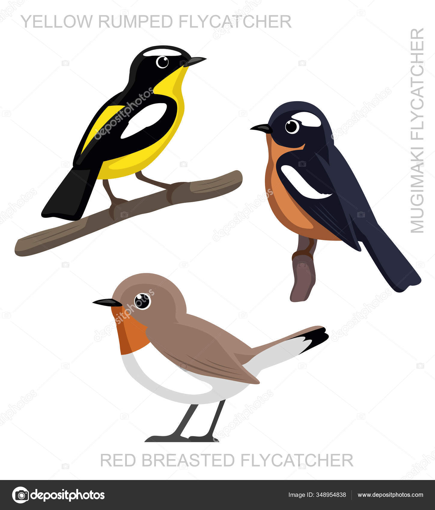 Bird Flycatcher Set Cartoon Vector Illustration Stock Vector Image by ...