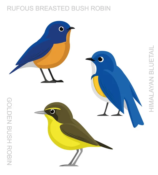 Bird Middle East Sunbird Set Cartoon Vector Stock Vector by ©Punnawich ...