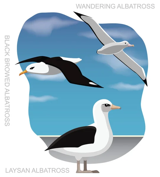 14 Albatroz errante Vector Images | Depositphotos