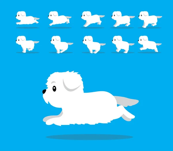Animal Animation Sequence Dog Maltese Cartoon Vector Stock Vector Image ...