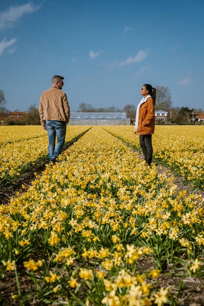 yellow flower field, couple walking in yellow flower bed yellow ...