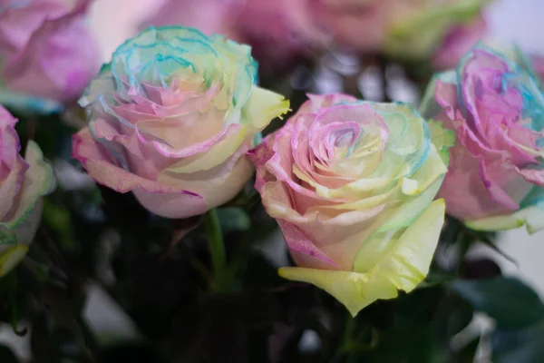 Disco rainbow Images - Search Images on Everypixel