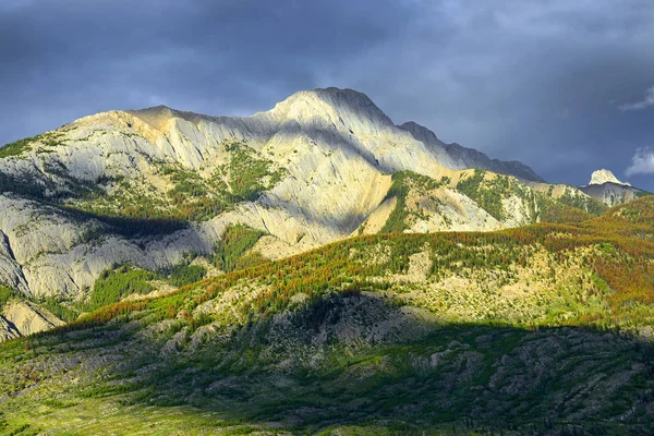 Colin range Stock Photos, Royalty Free Colin range Images | Depositphotos