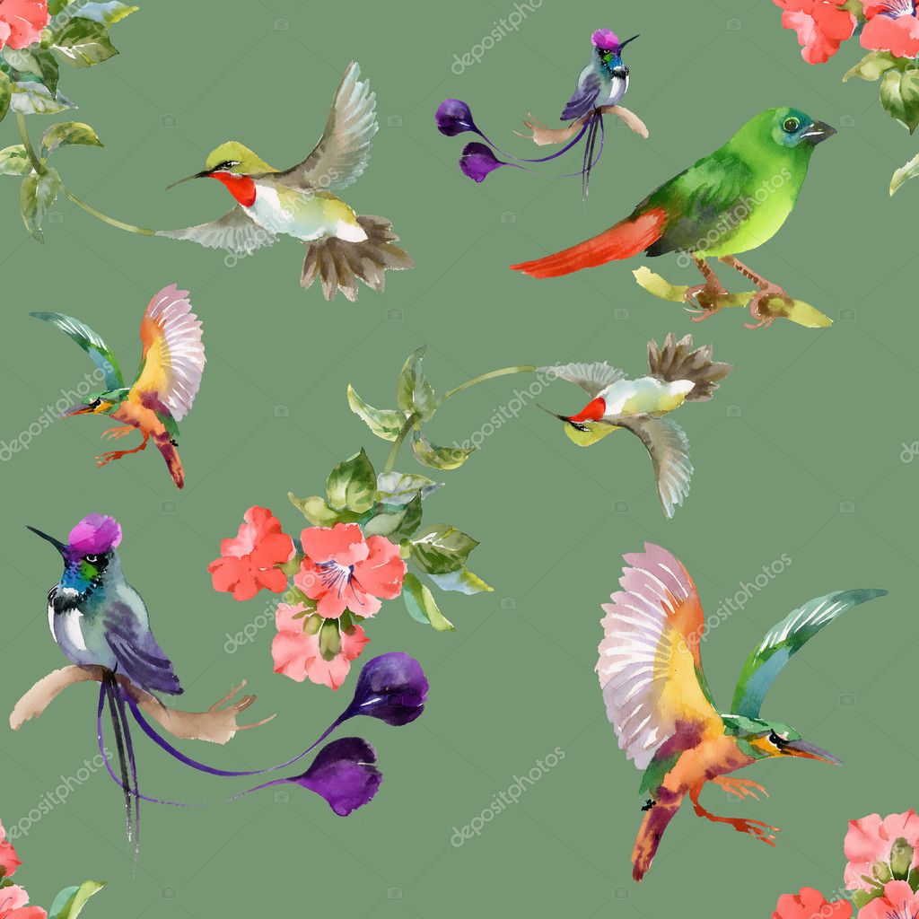 Animal Aves Flores Wallpaper