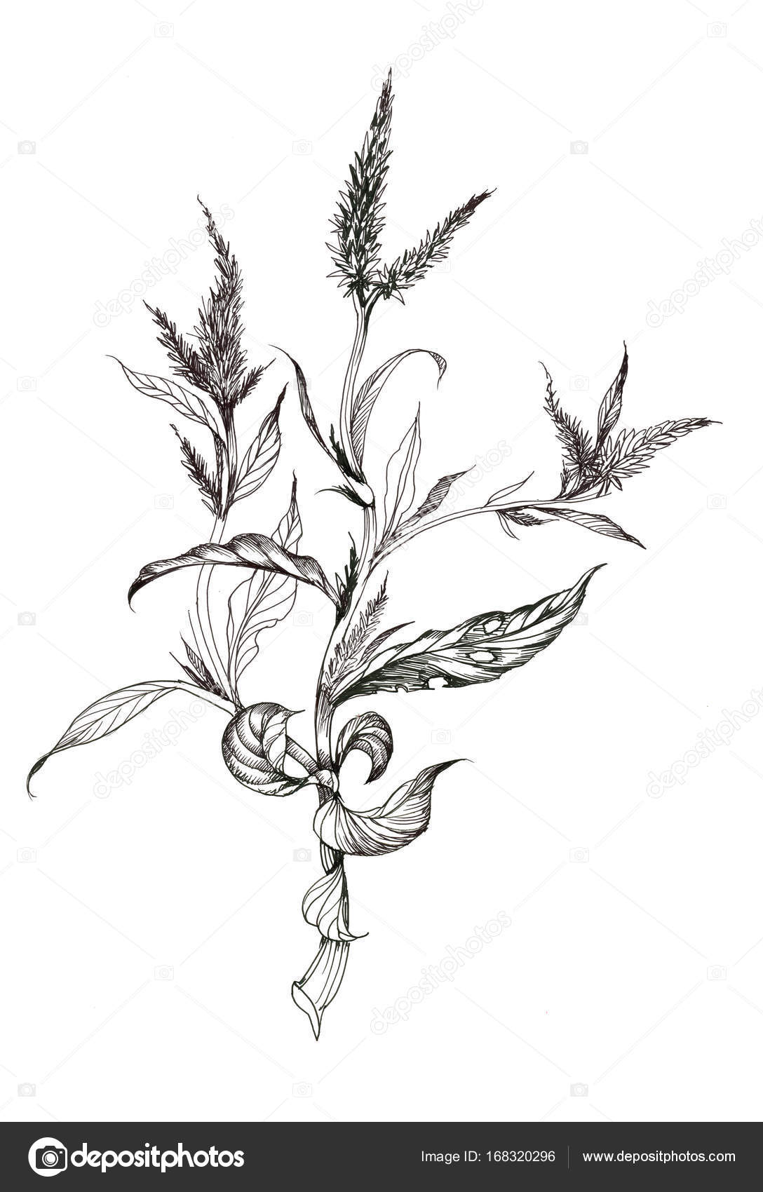 Hand drawn field plants ⬇ Stock Photo, Image by © Kostan-PROFF #168320296