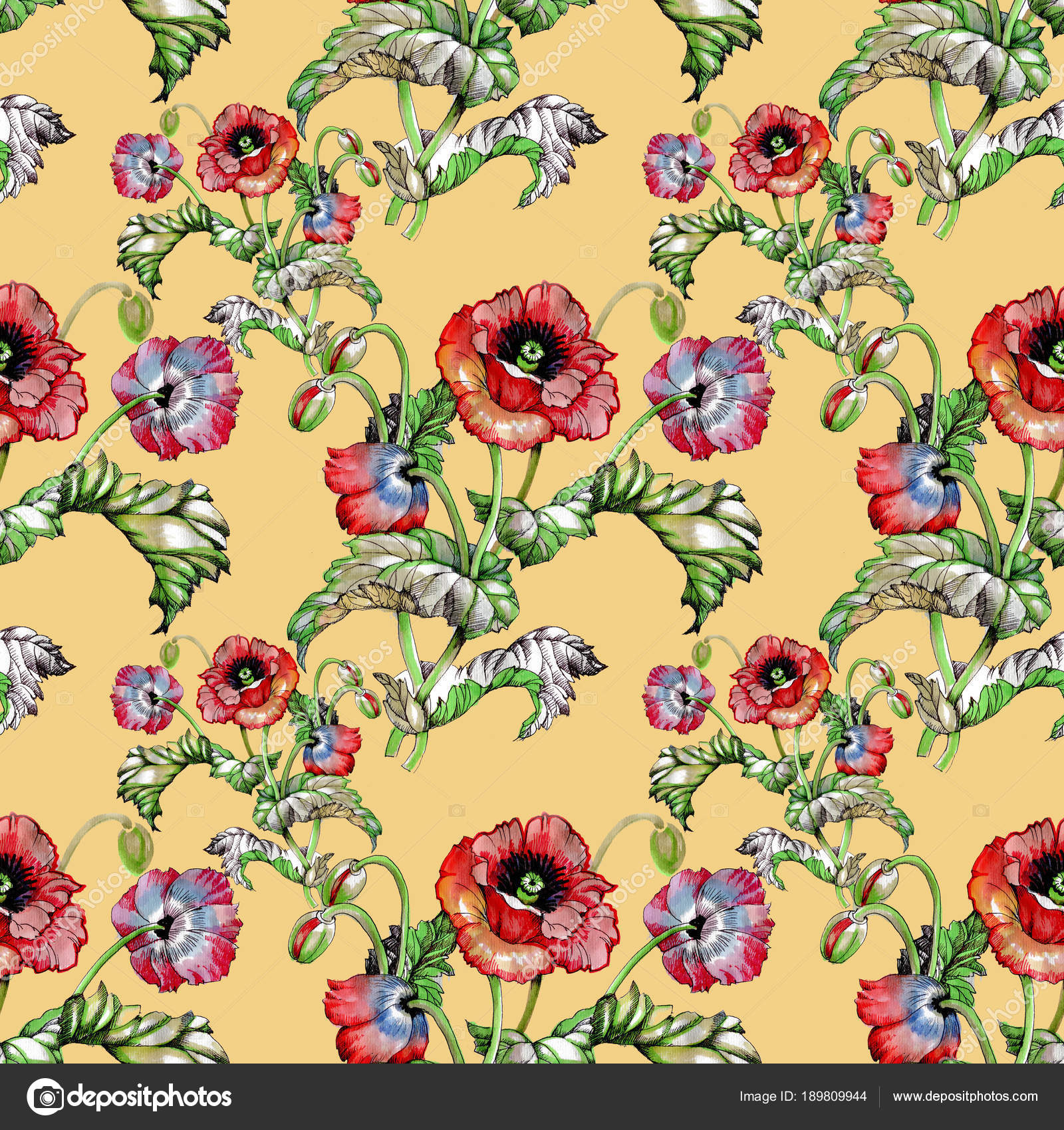 Seamless Pattern Beautiful Poppy Flowers Stock Photo by ©Kostan-PROFF ...