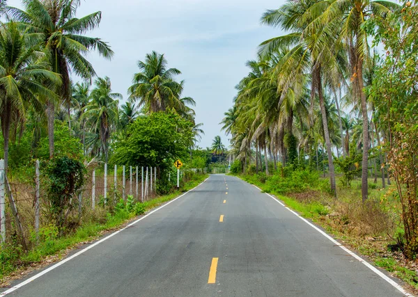 Vietnamese highway Stock Photos, Royalty Free Vietnamese highway Images ...