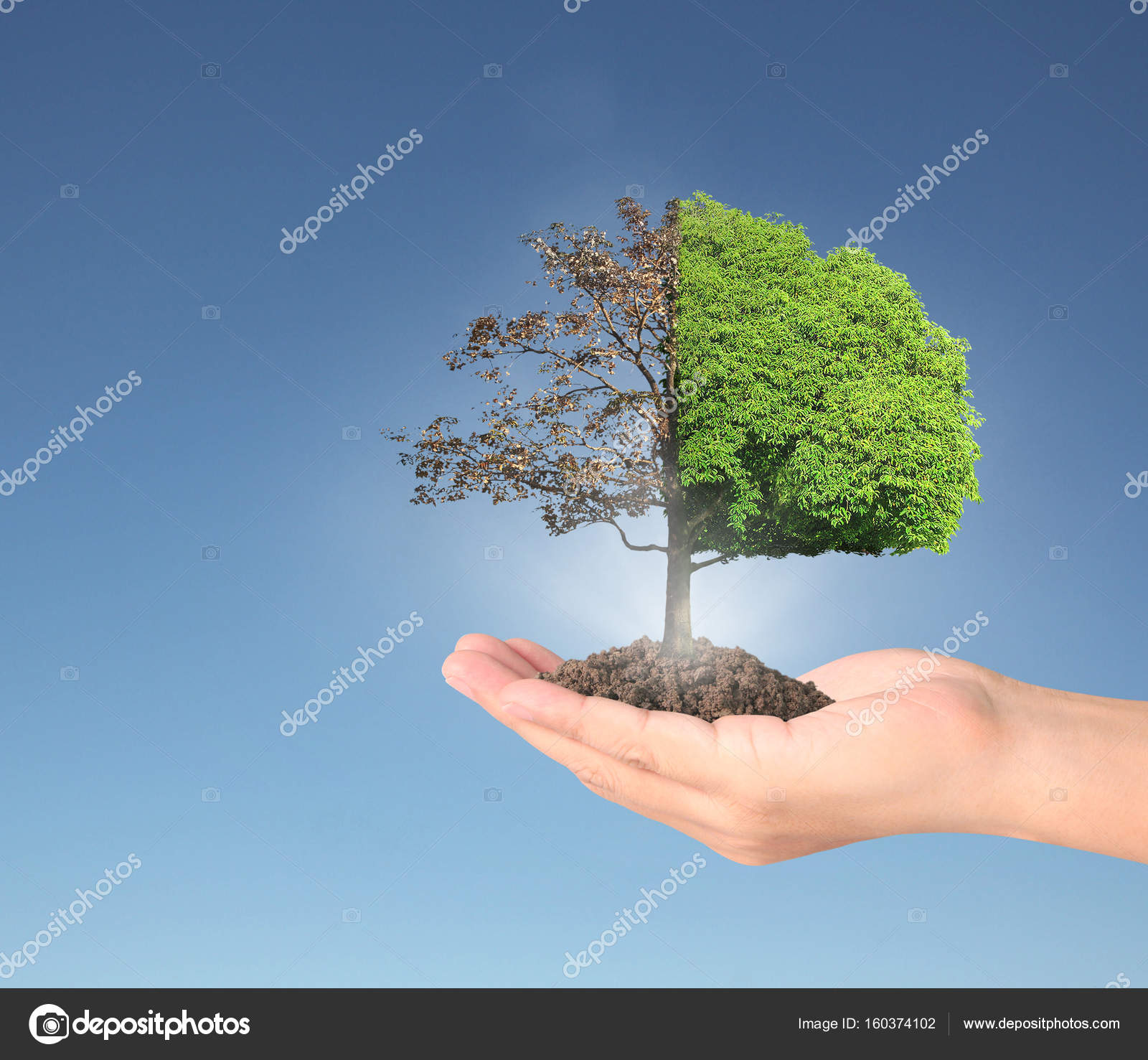 Human hands holding tree sprout — Stock Photo © aeydenphumi #160374102