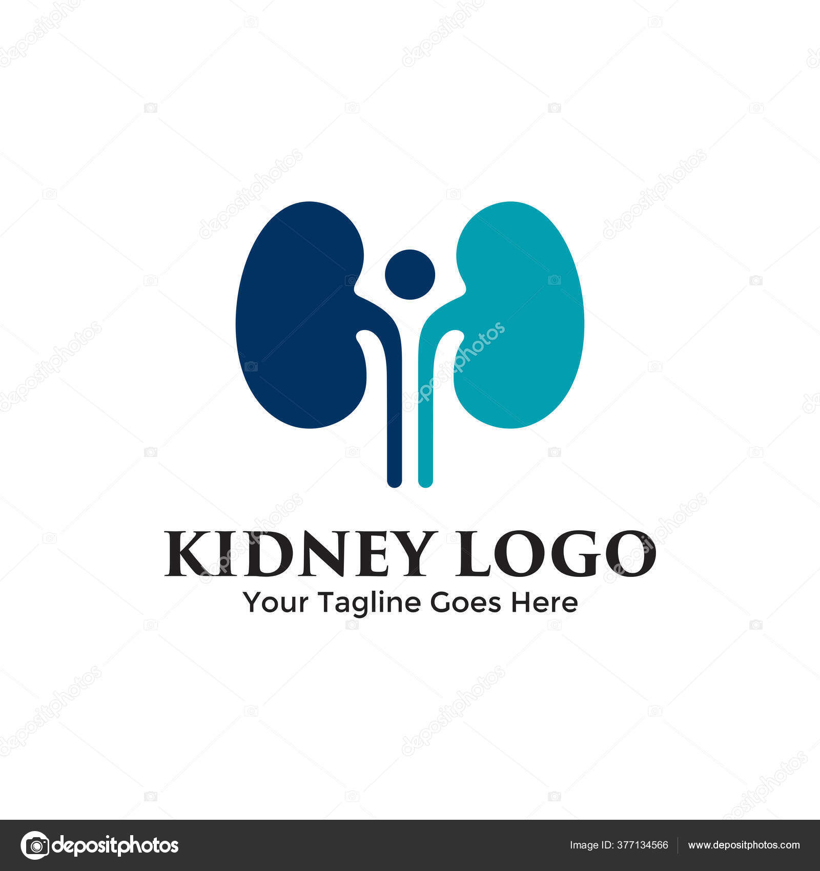 Human Kidney Logo Vector Combination Creative Urology Logo Concept ...