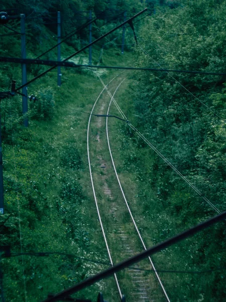 Emerald line Stock Photos, Royalty Free Emerald line Images | Depositphotos