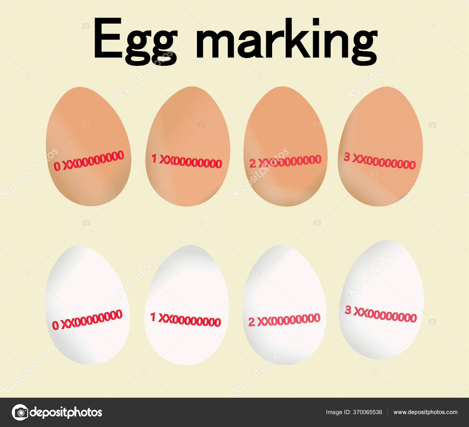 Egg Marking Set Different Class Egg Codes Red Code Label Stock Vector ...