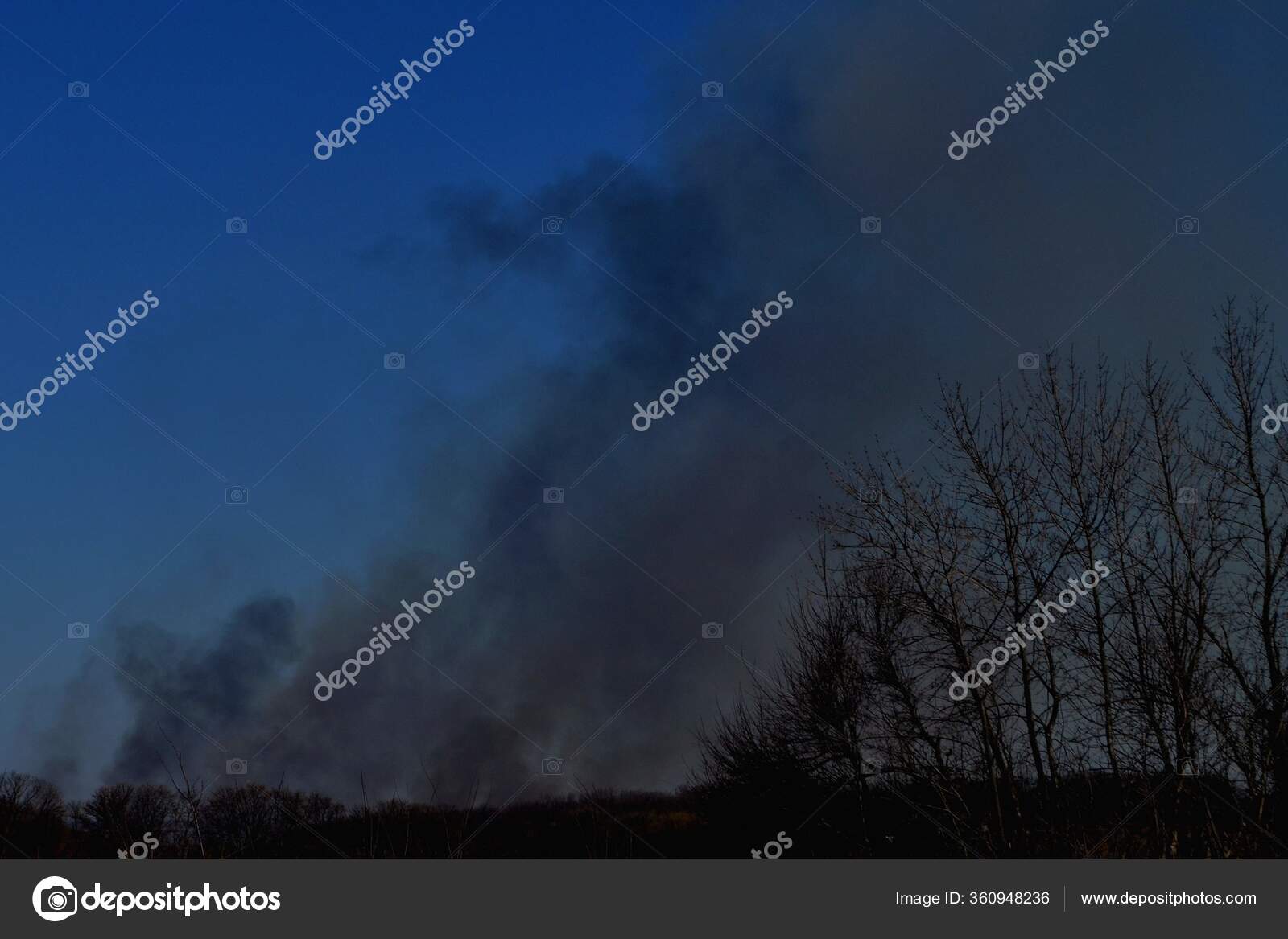 Photo See Forest Fire Distance Forest Burns — Stock Photo © 12345tagdob ...
