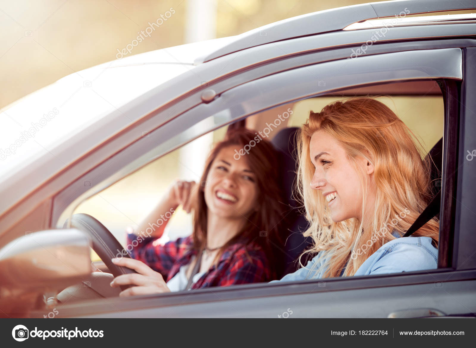 Young friends driving. — Stock Photo © Ivanko1980 #182222764
