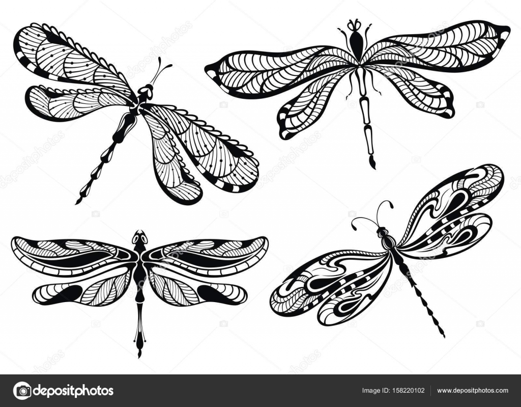Set de libélulas decorativas Stock Vector by ©Ksyshakiss 158220102