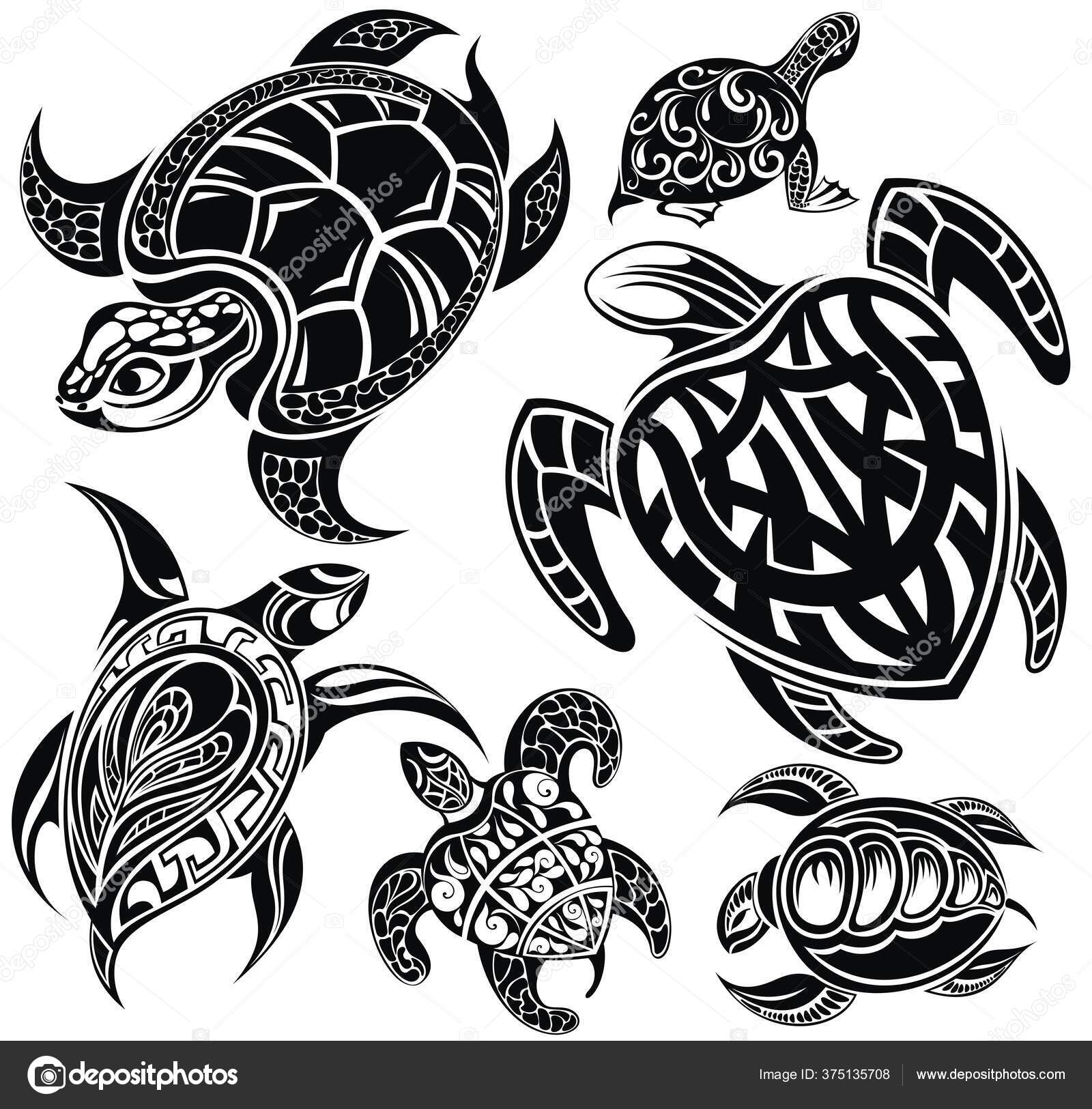 Vector Turtle Design White Background Reptile Animals — Stock Vector ...