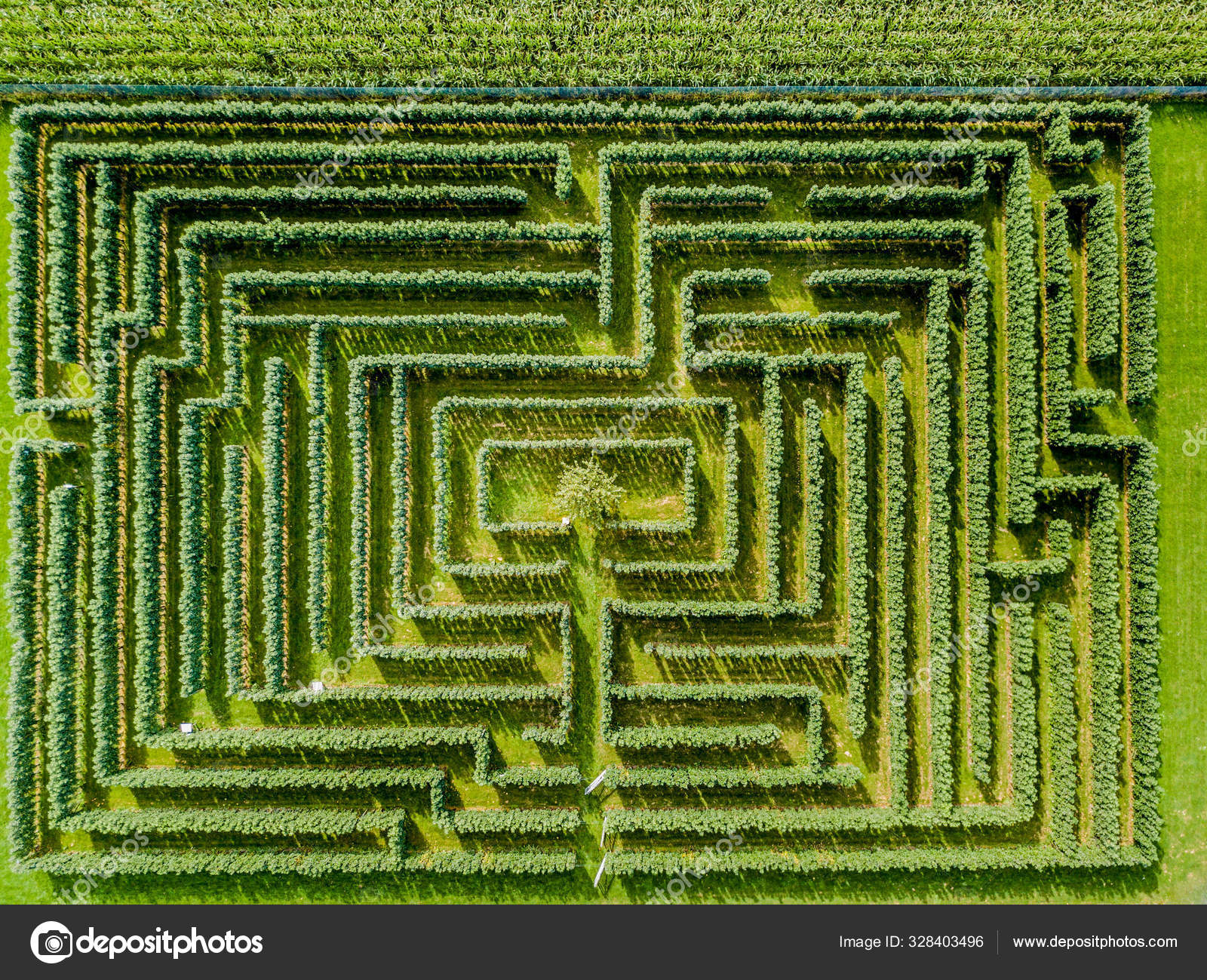 Garden Maze Wallpaper
