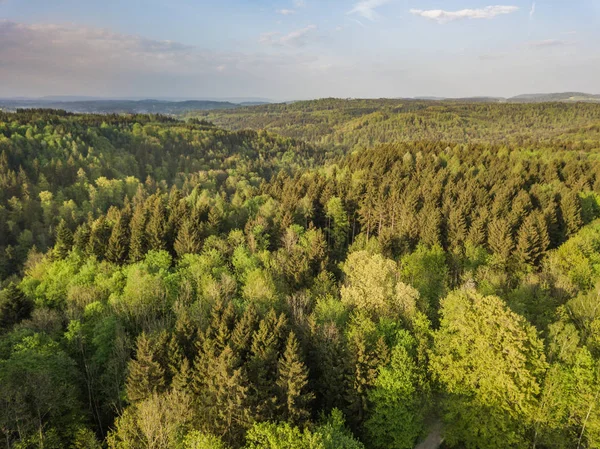 Temperate hutan konifer Stock Photos, Royalty Free Temperate hutan ...