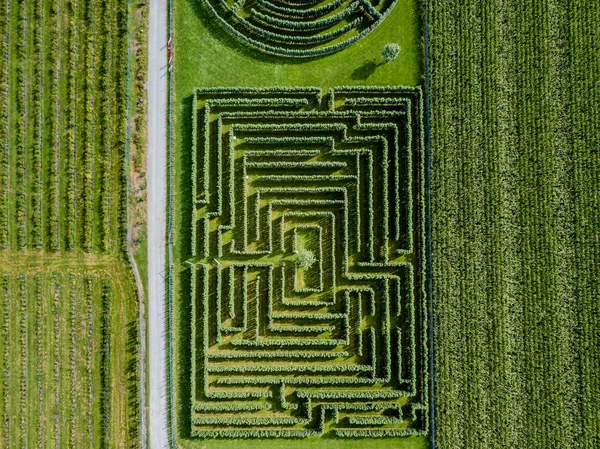 Corn field maze Stock Photos, Royalty Free Corn field maze Images ...