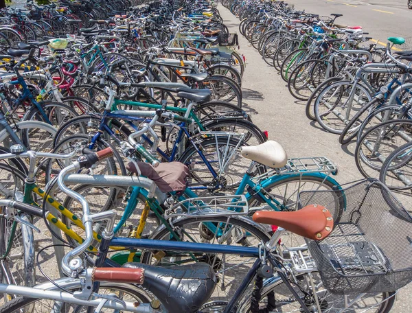 Many cycles Stock Photos, Royalty Free Many cycles Images | Depositphotos