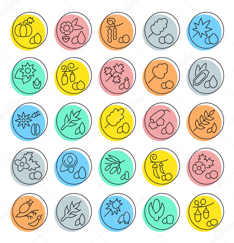 Conjunto de signos de contorno y símbolos de semillas. Colección de ...