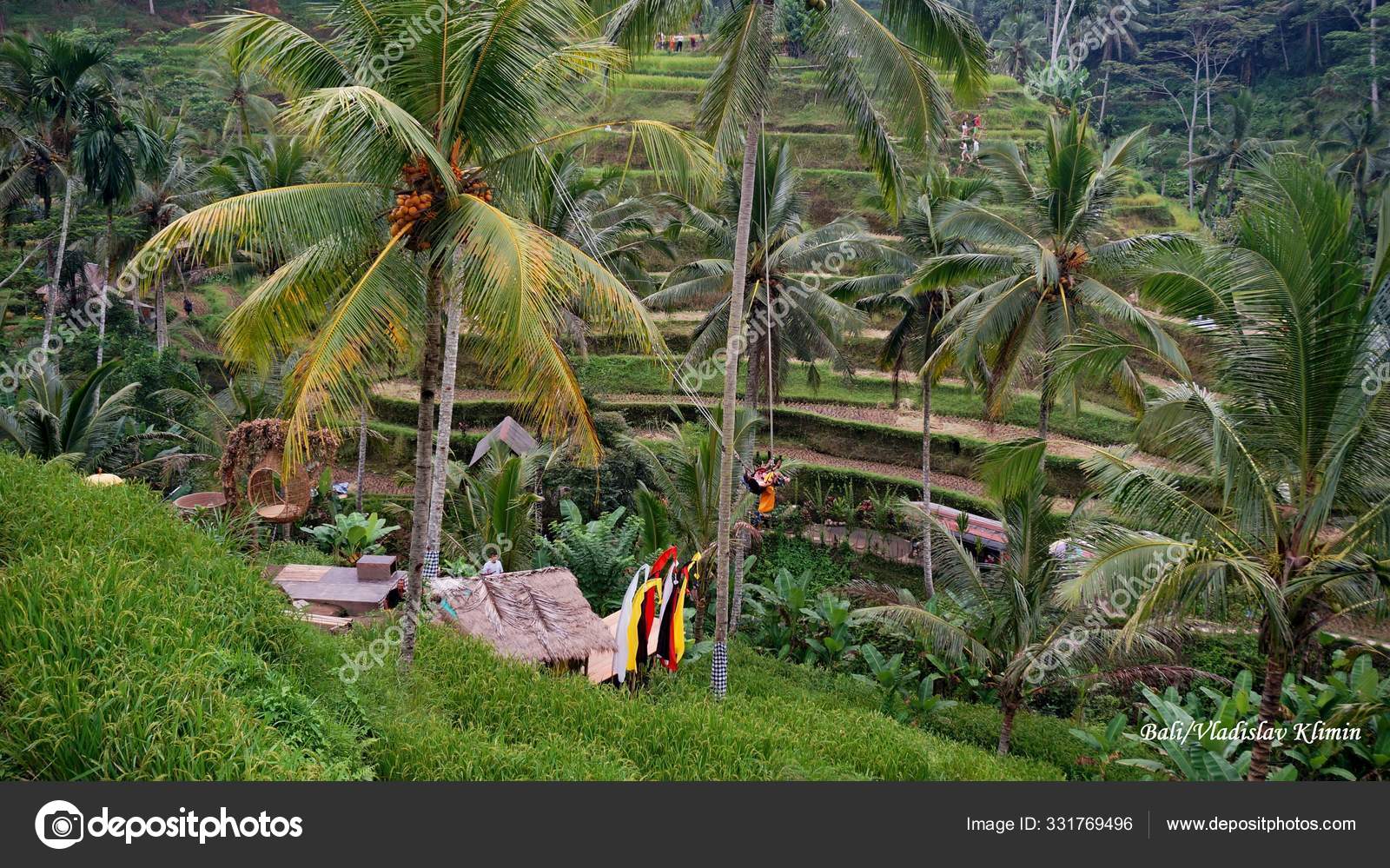 Rice Terraces Bali Beautiful View Swing Bali — Stock Photo © Vlad73dive ...