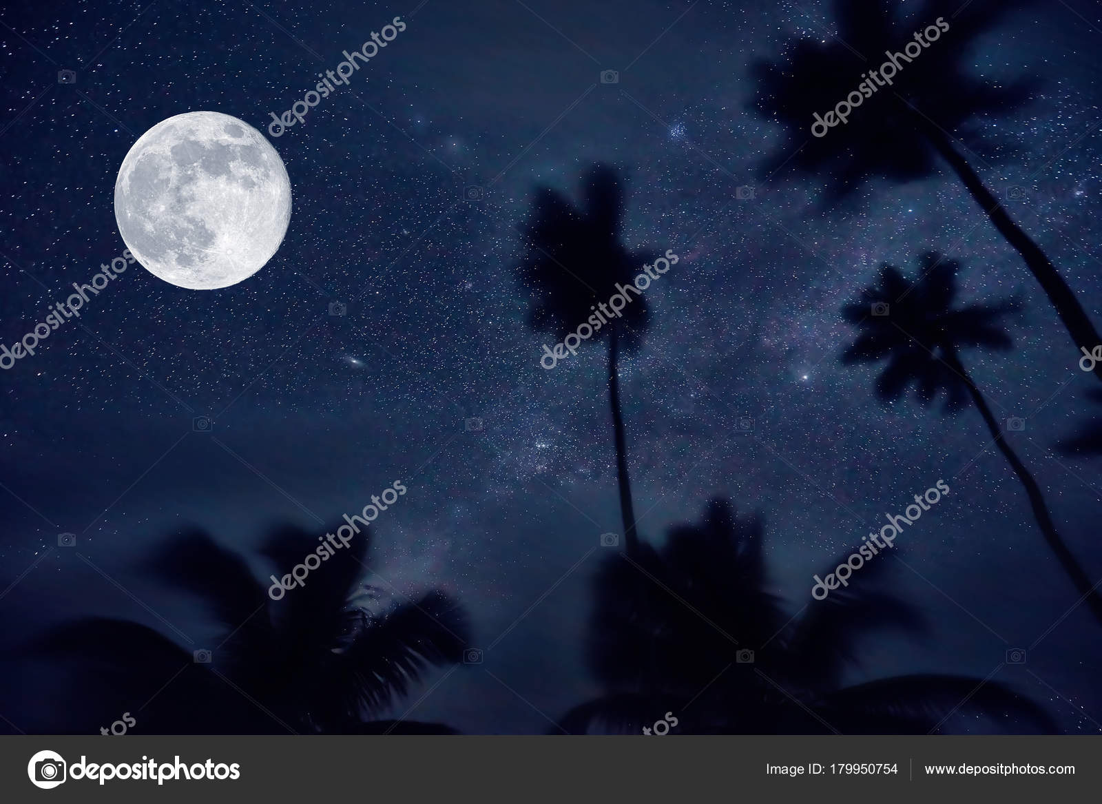 Night Sky With Moon And Trees