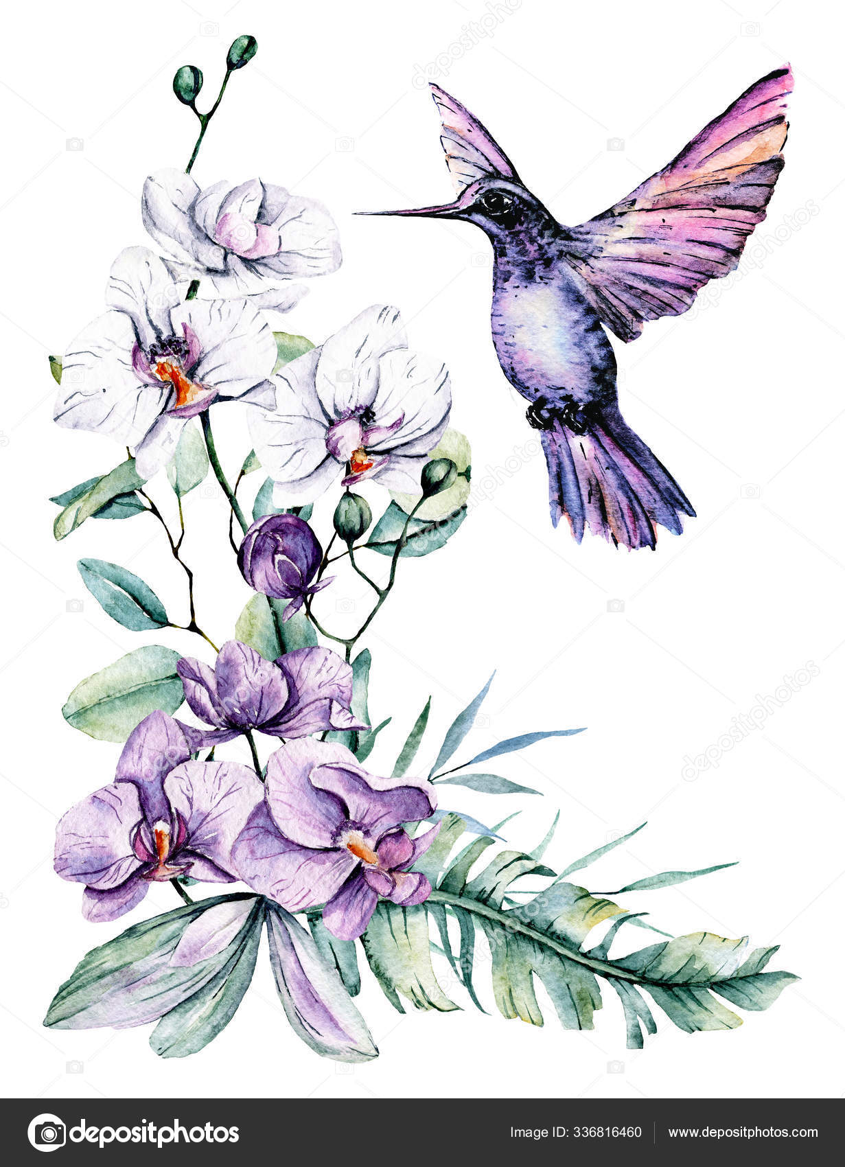 Clipart De Fleurs De Colibri 22 Idées De Papillon Colibri Et Fleur