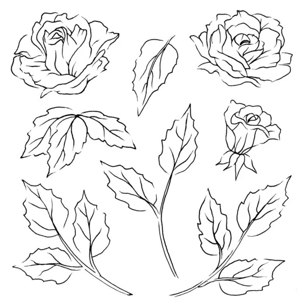 Line drawings Stock Photos, Royalty Free Line drawings Images ...