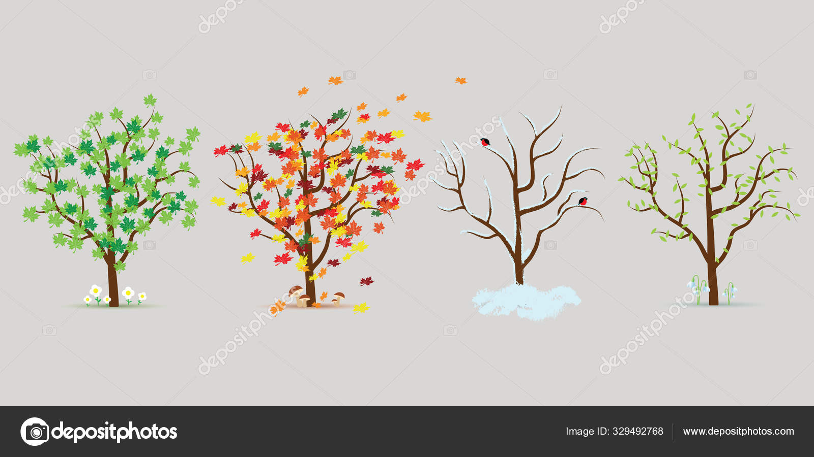 Vector set of four seasons trees. Flat design Stock Vector Image by ...