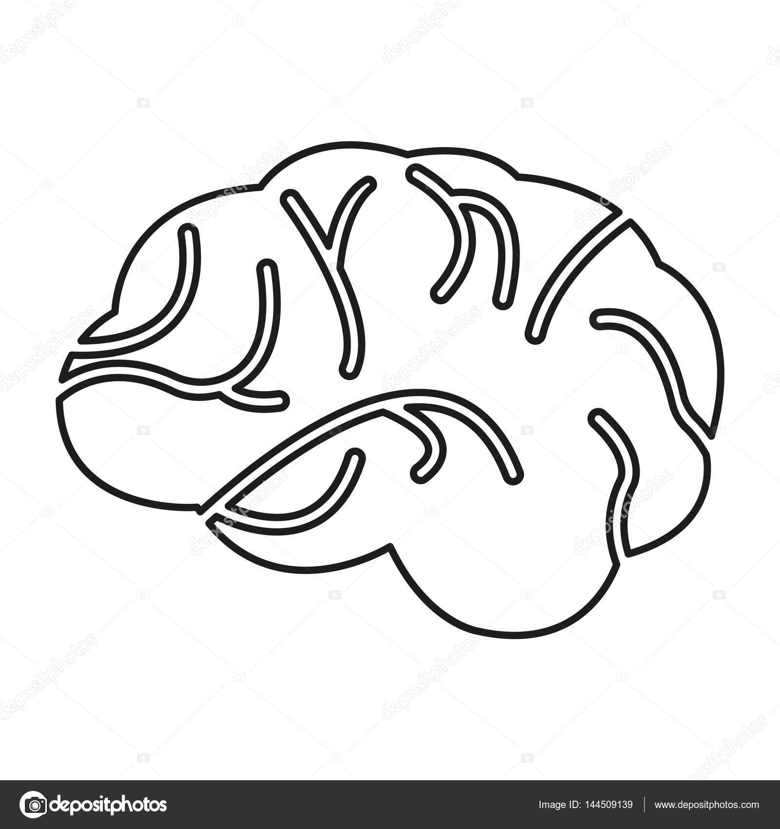 Simple brain icon — Stock Vector © AngBay #144509139 Simple brain icon — Stock Vector © AngBay #144509139