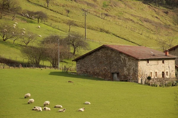 La vasco navarra fotos de stock, imágenes de La vasco navarra sin ...