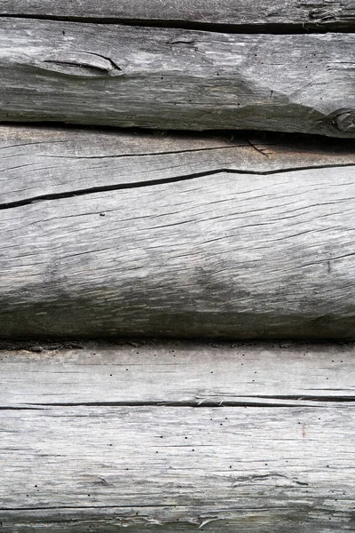 The outer log wall of a village house with cracks and holes from a bark ...
