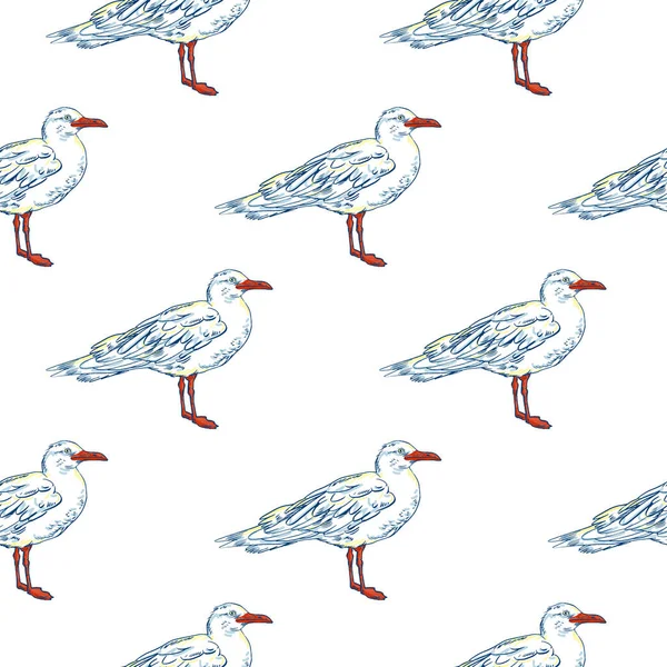 Sky bird seagull in a wildlife. Black and white engraved ink art ...