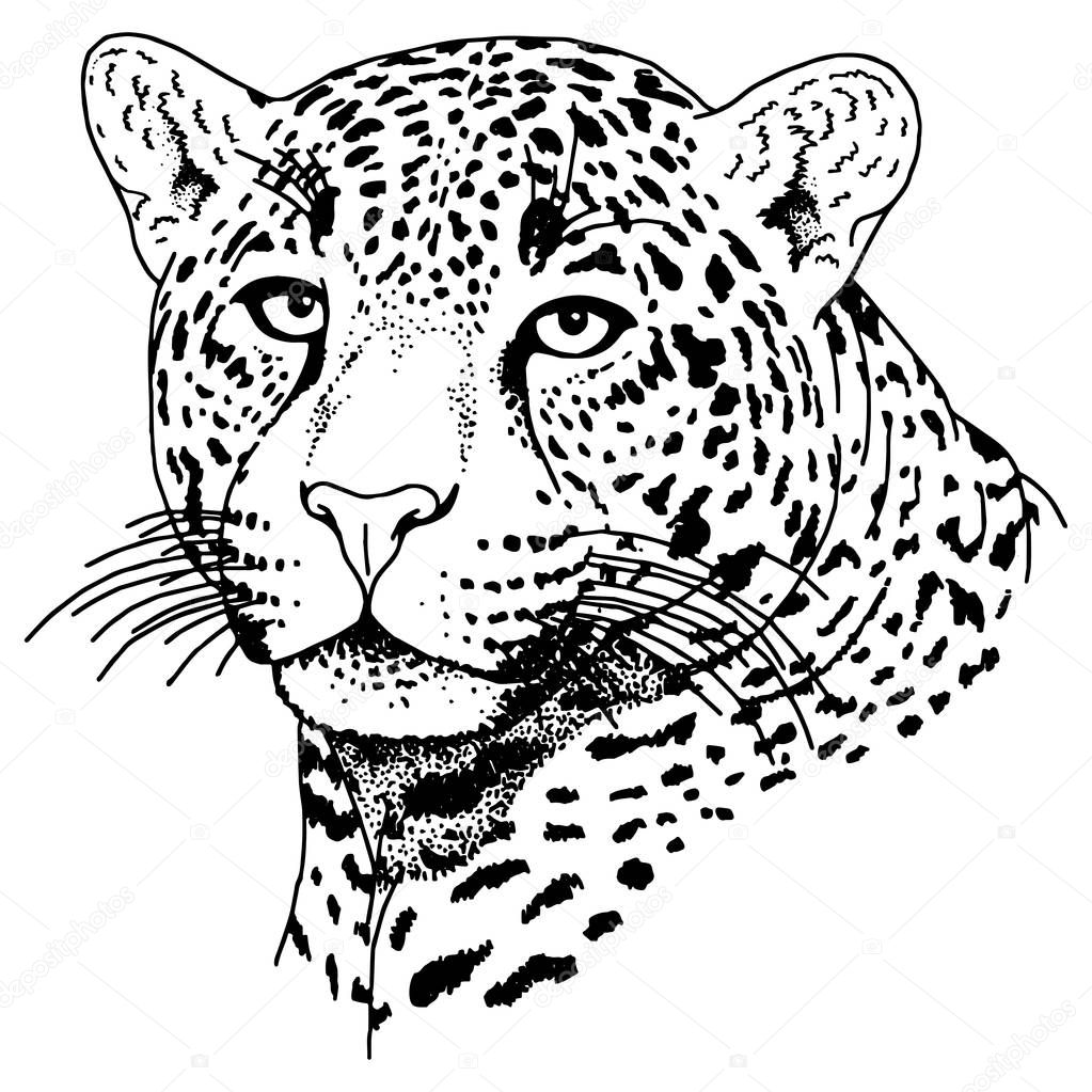 Leopard face tattoo | Leopard face tattoo ,Vector illustration, print ... Leopard face tattoo | Leopard face tattoo ,Vector illustration, print ...