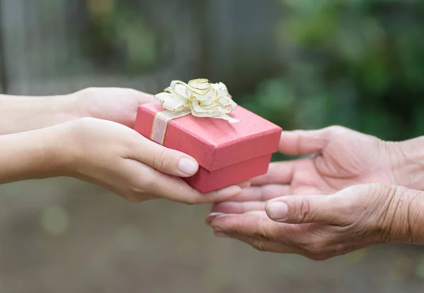 Woman hands holding gift box on natural background at outdoor pa Stock ...