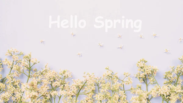 Hello spring Stock Photos, Royalty Free Hello spring Images | Depositphotos