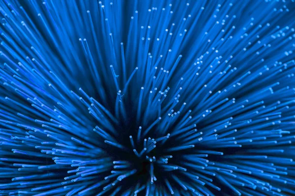 Blue Color Incense Sticks Texture Background Close Bundles Traditional ...