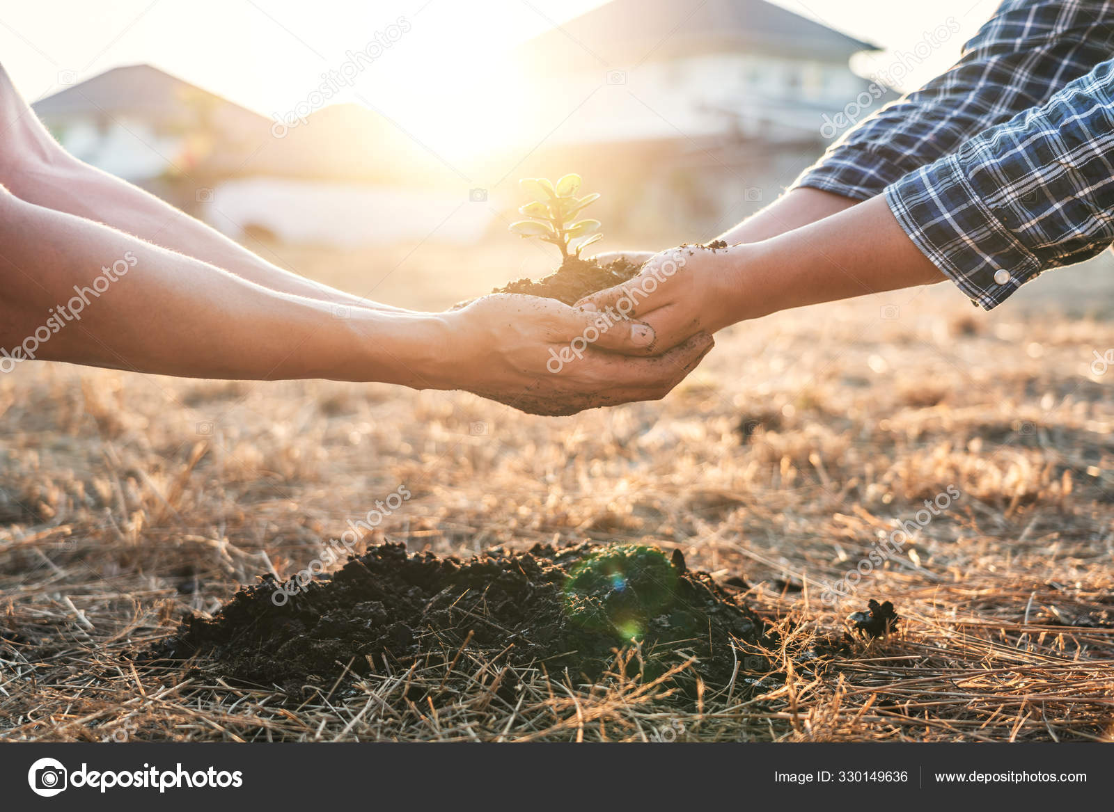 Environment earth day in hands, two people holding of young spro Stock ...