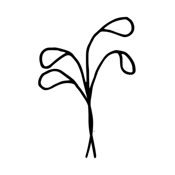 100,000 Taproot Vector Images | Depositphotos