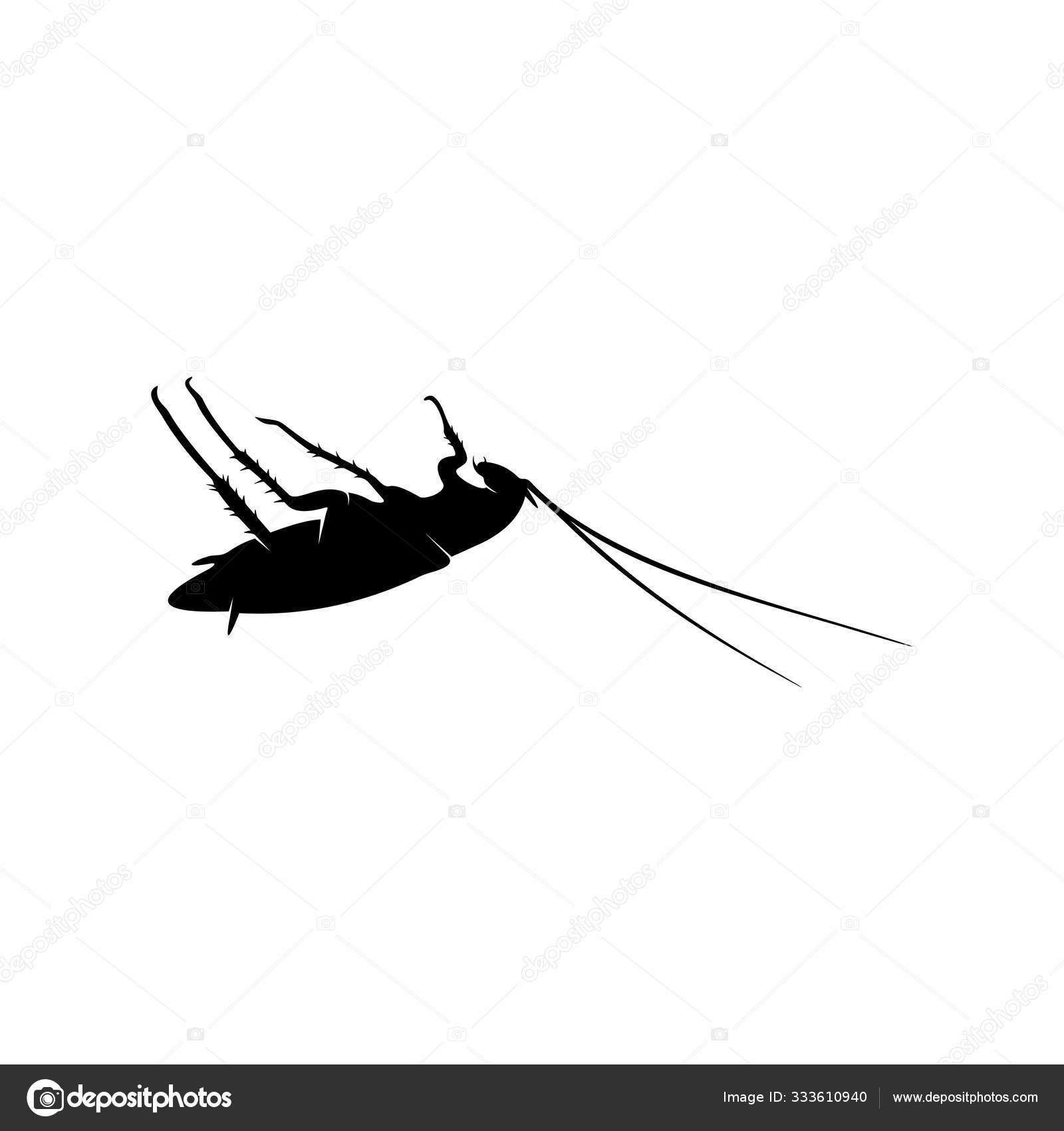 Cockroach Logo Design Vector Illustration. Cockroach Design Template ...