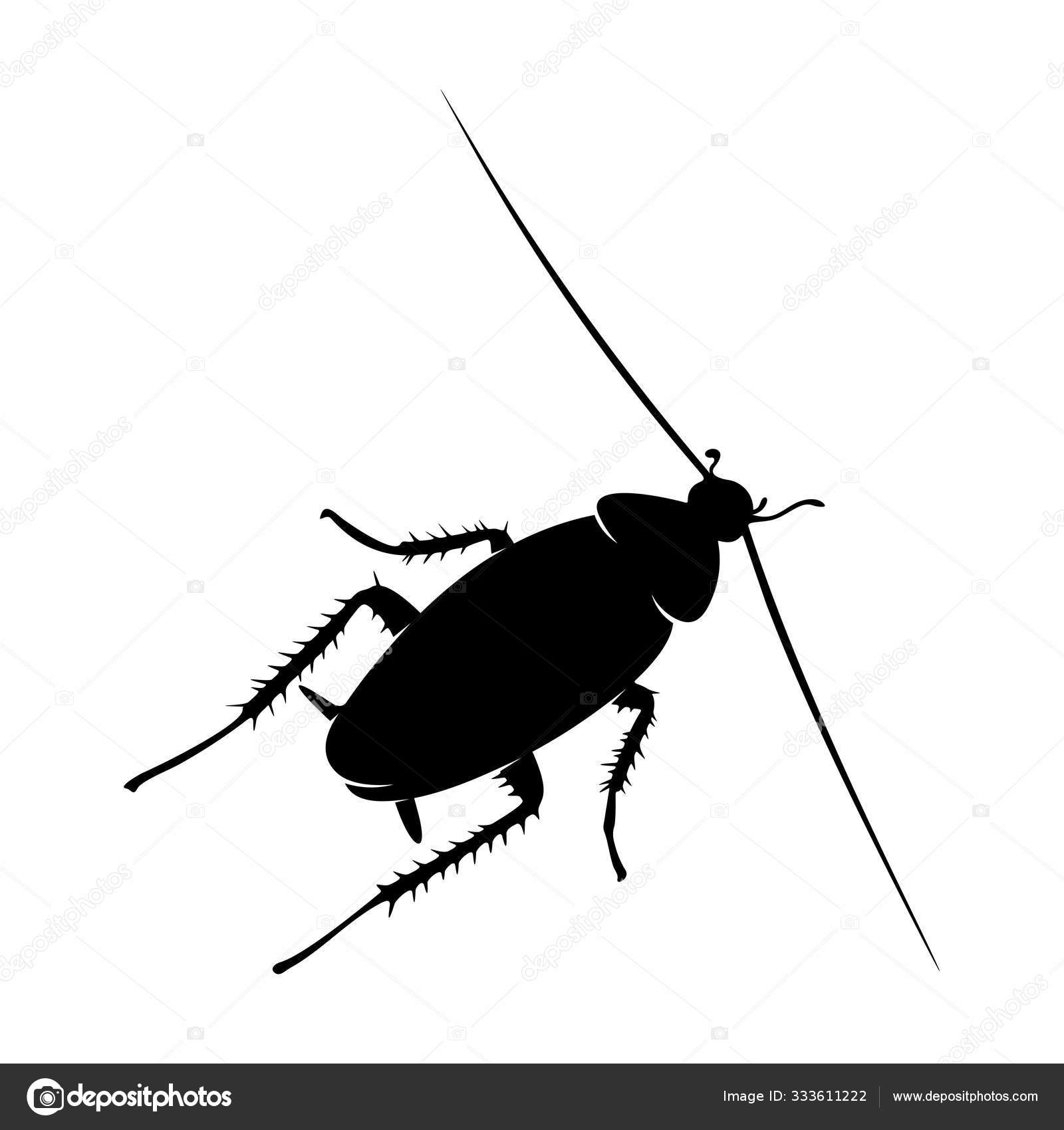 Diseño del logotipo de cucaracha Vector Illustration. Plantilla de ...