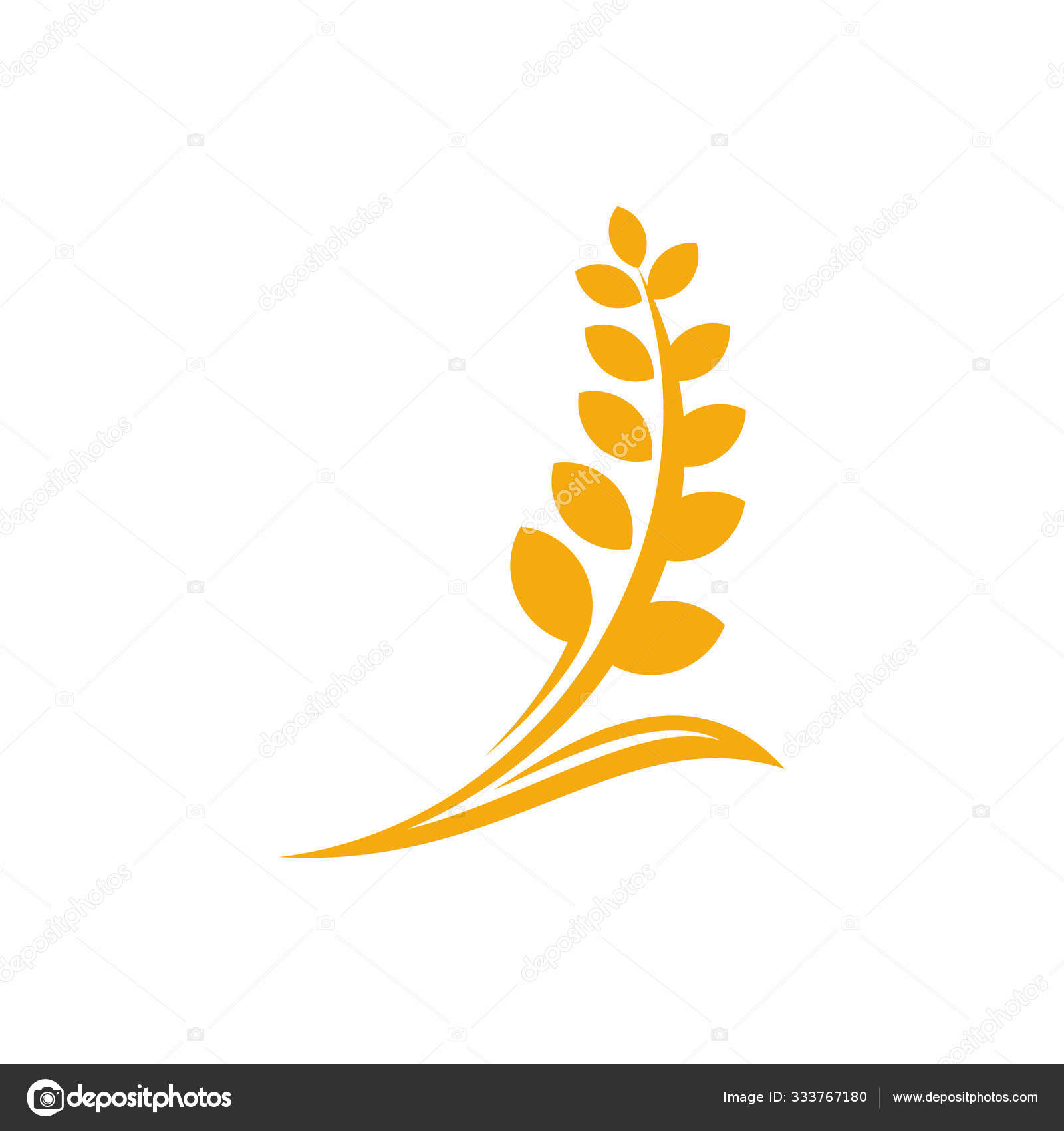 Agriculture Wheat logo template vector, Luxury Wheat Logo Concept, Icon Symbol Stock Vector by ...